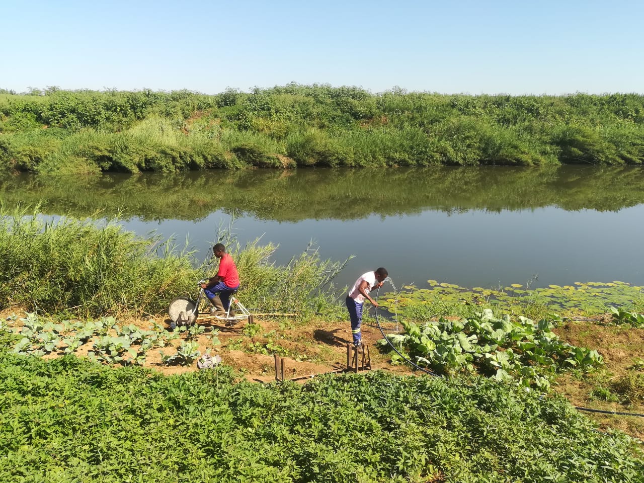 Mozambique: Azada Verde Develops Food Provisioning Through Agro-ecology ...